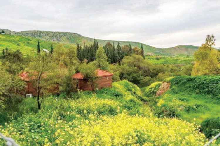 قرى وألوية الشمال مقصد عائلات للاستمتاع بالأجواء الربيعية – وكالة عجلون ...