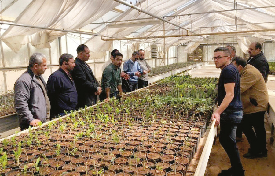 400 ألف شتلة لدعم المزارعين وتشجير “أراضي الحرائق” في جرش – وكالة عجلون ...