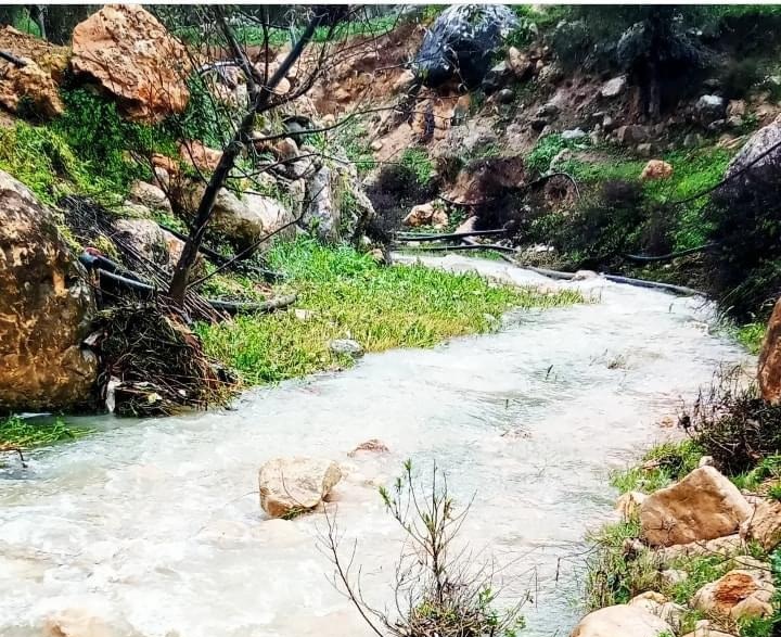 وادي كفرنجة.. طبيعة ساحرة واستثمارات غائبة – وكالة عجلون الإخبارية