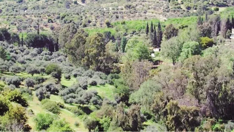 المنازل البيئية.. منتج جديد لتنشيط الحركة السياحية في جرش – وكالة عجلون ...